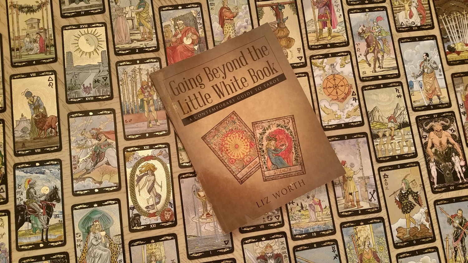 Book Review: Going Beyond the Little White Book by Liz Worth – benebell wen
