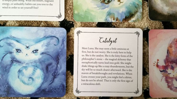 Spirit Cats Oracle Deck by Nicole Piar – benebell wen