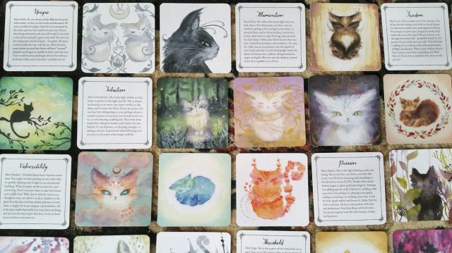Spirit Cats Oracle Deck by Nicole Piar – benebell wen