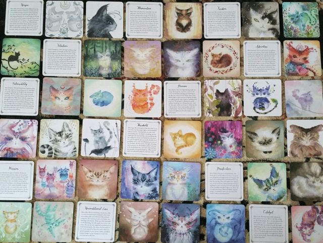 Spirit Cats Oracle Deck by Nicole Piar – benebell wen