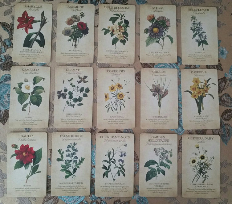 Botanical Inspirations by Lynn Araujo – benebell wen