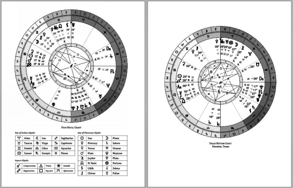Order the 2018 Metaphysician’s Day Planner – benebell wen