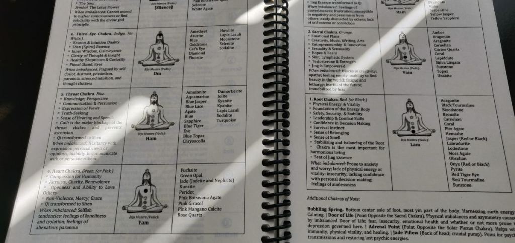 2019 Metaphysician’s and Metaphysical Day Planners – benebell wen