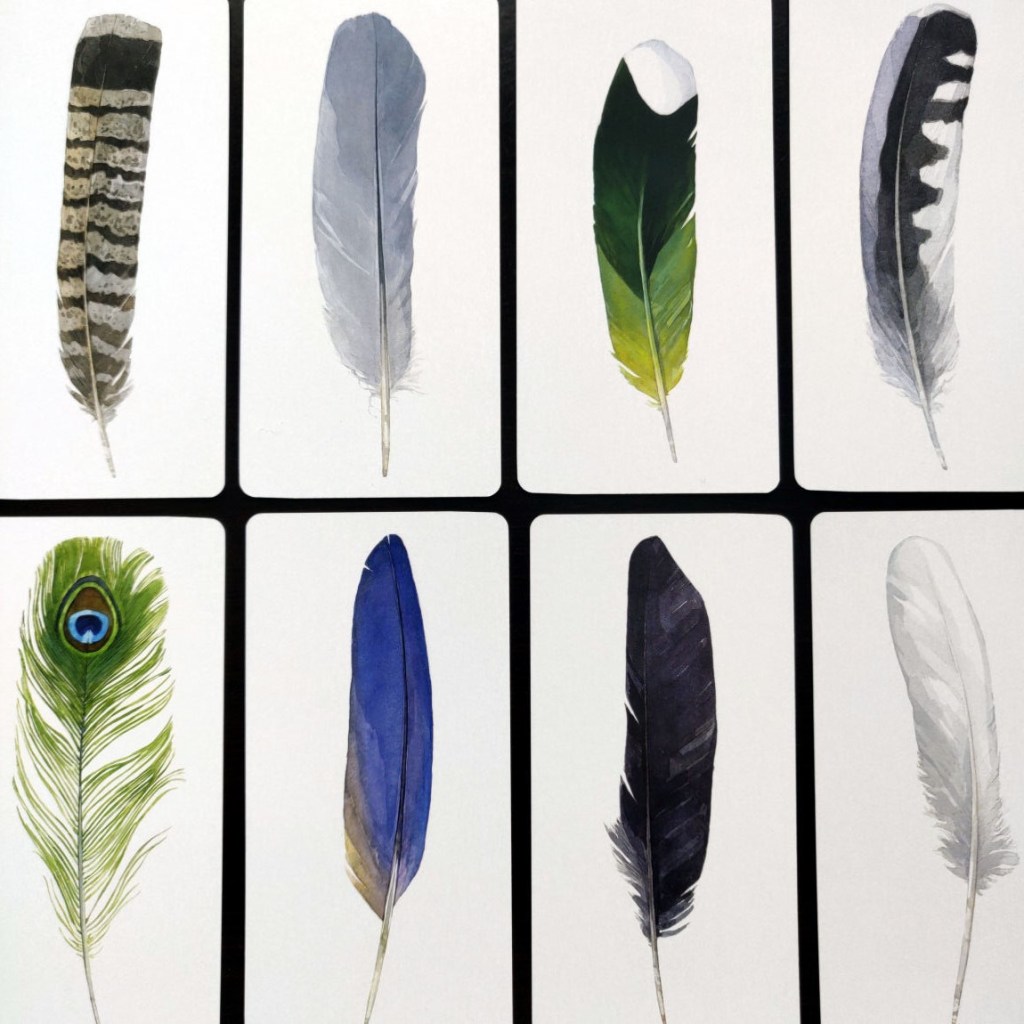 Divine Feather Messenger Oracle Cards – benebell wen