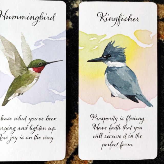 Divine Feather Messenger Oracle Cards – benebell wen