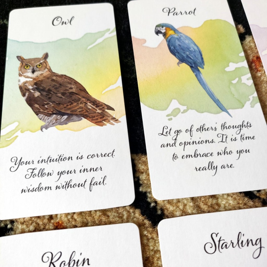 Divine Feather Messenger Oracle Cards – benebell wen