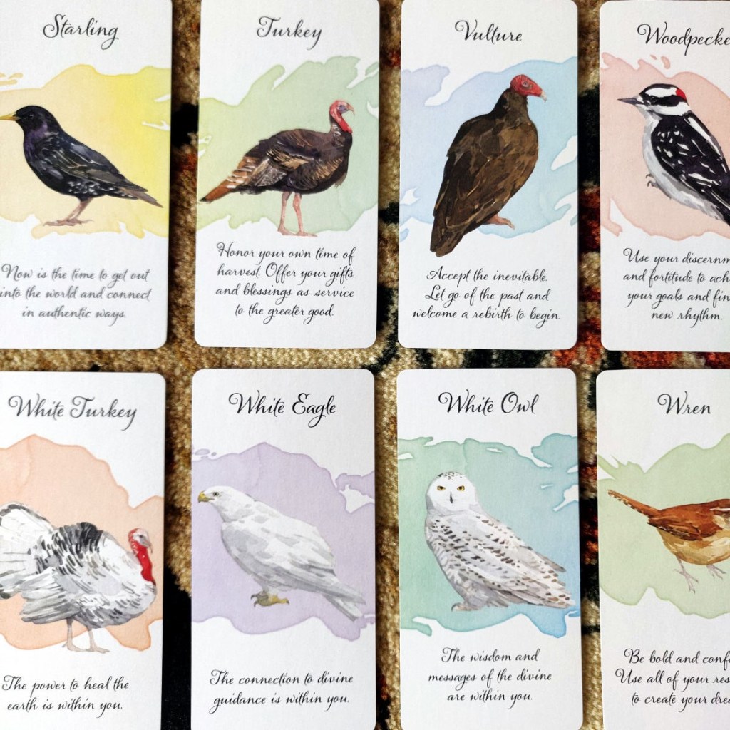 Divine Feather Messenger Oracle Cards – benebell wen