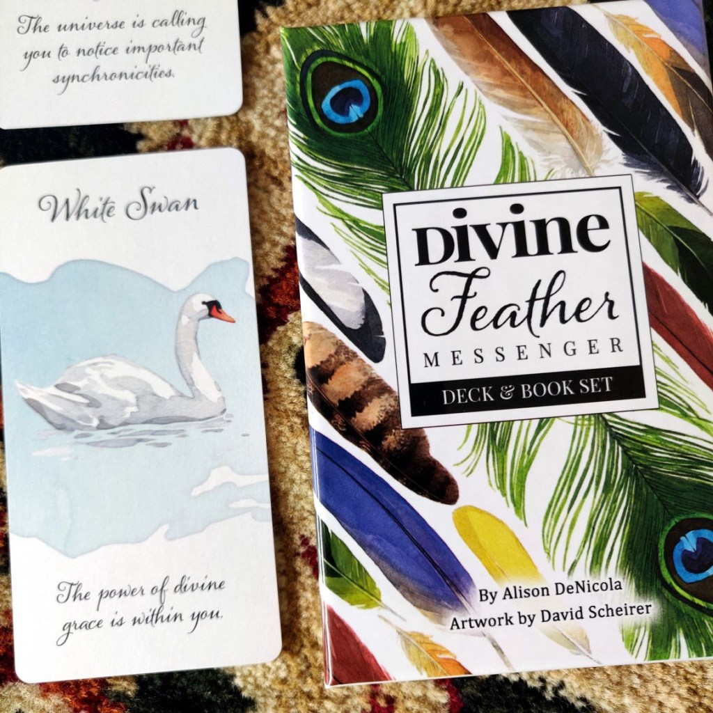 Divine Feather Messenger Oracle Cards – benebell wen