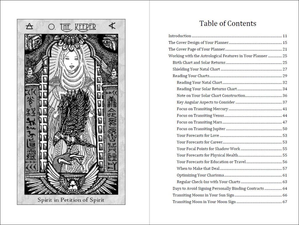 Order the 2020 Metaphysician’s Day Planner + the DIY SKT Mini ...