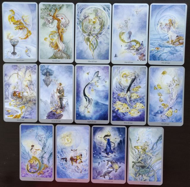 Shadowscapes Tarot by Stephanie Pui-Mun Law – benebell wen