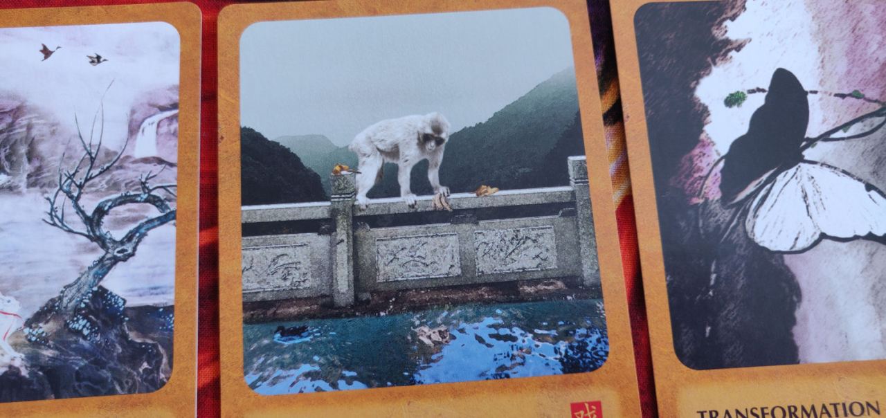 Wisdom of the Tao Oracle Cards by Mei Jin Lu (Vol. I and Vol. II ...