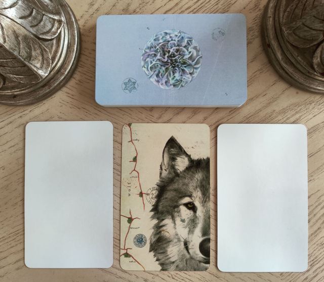 The Archeo Personal Archetype Cards by Nick Bantock – benebell wen