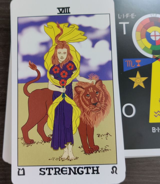 The Magical Tarot of the Golden Dawn by Pat Zalewski and David ...