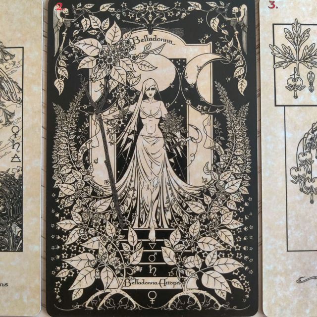 The Magickal Botanical Oracle: Plants from the Witch’s Garden ...