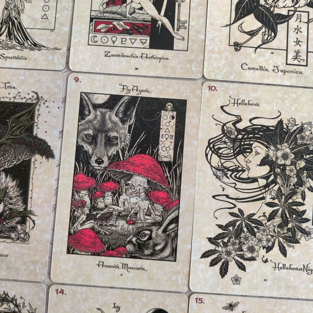 The Magickal Botanical Oracle: Plants from the Witch’s Garden ...