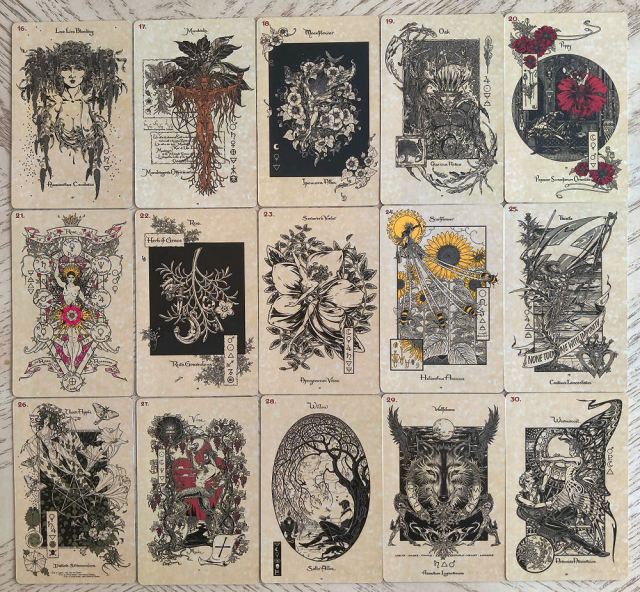 The Magickal Botanical Oracle: Plants from the Witch’s Garden ...