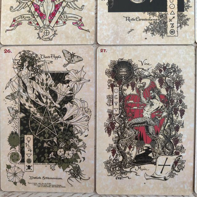 The Magickal Botanical Oracle: Plants from the Witch’s Garden ...