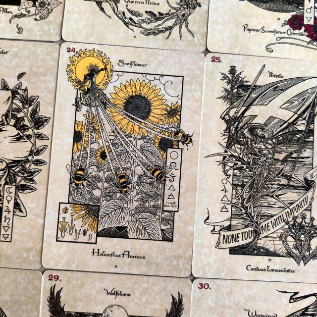 The Magickal Botanical Oracle: Plants from the Witch’s Garden ...