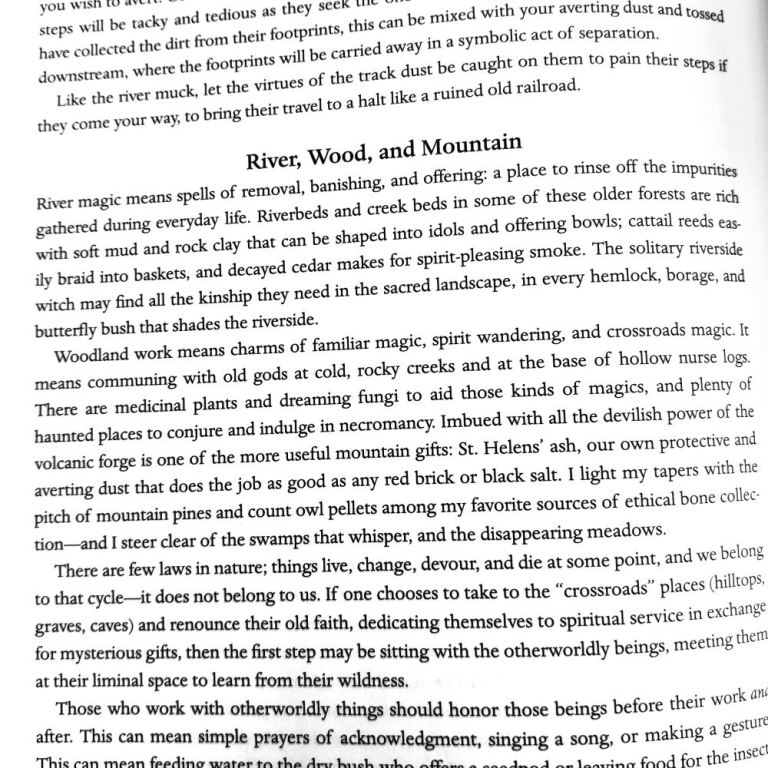 book review – benebell wen