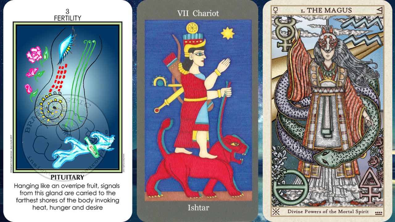 The Masters of the Tarot Conference at Omega Institute – benebell wen