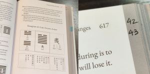 Amendments to Text – benebell wen
