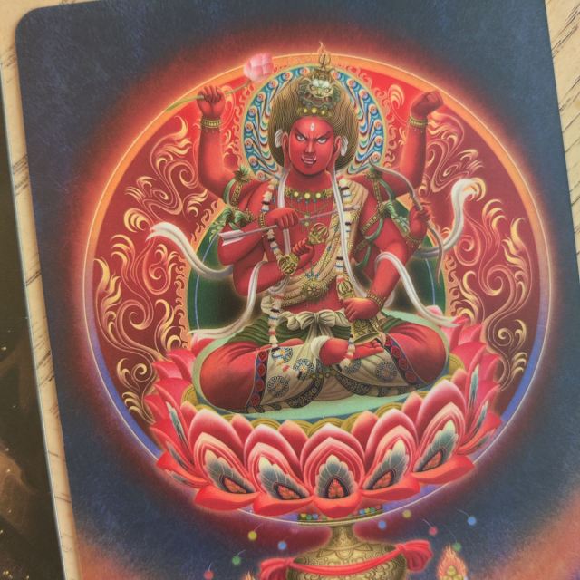 The Esoteric Buddhism of Japan Oracle Cards (Yuzui Kotaki and Miki ...