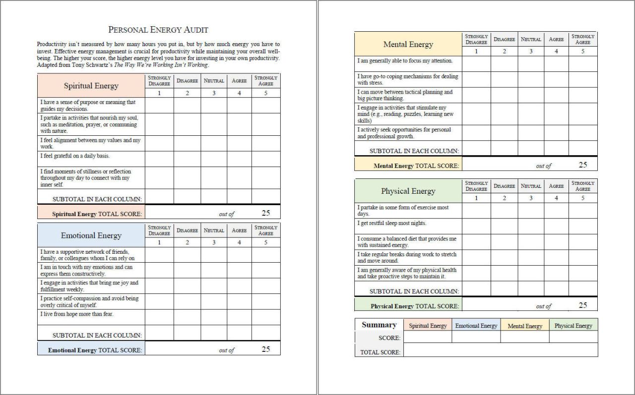 Personal Energy Audit: Spiritual, Emotional, Mental, Physical ...