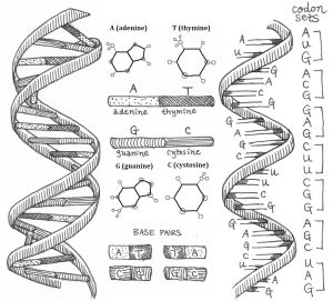 I Ching, The Oracle – benebell wen