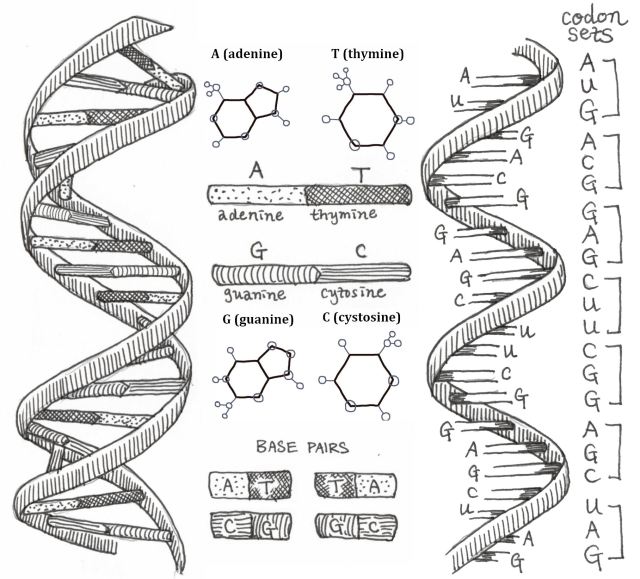 I Ching, The Oracle – benebell wen