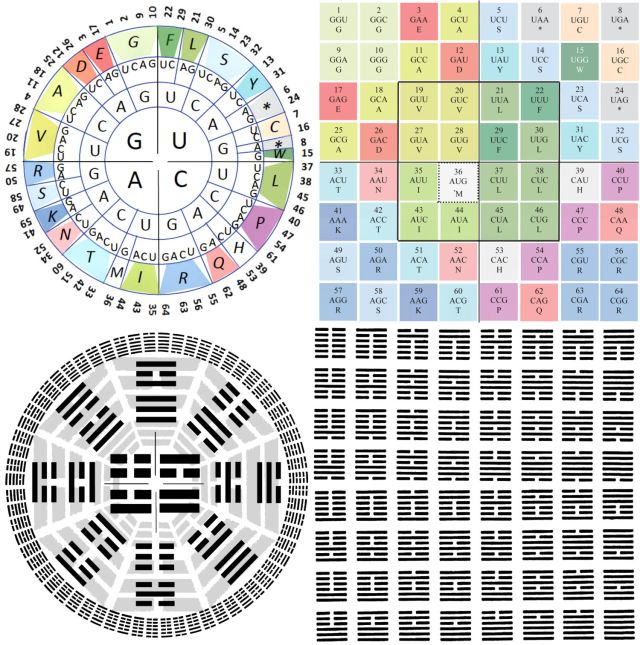 I Ching, The Oracle – benebell wen