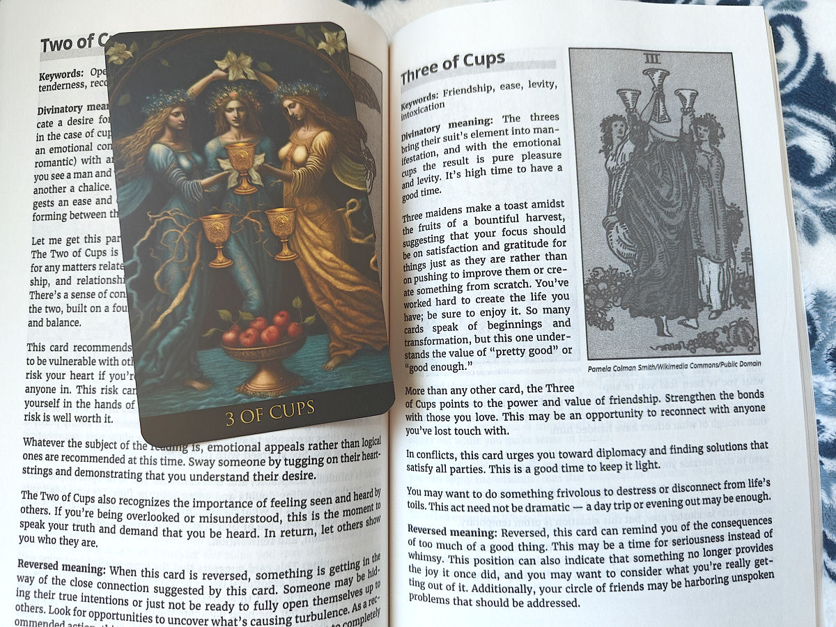 “Tarot and Oracle Card Reading” from the For Dummies Learning Series ...